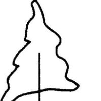 Contact PDB – Peter Davis Builders